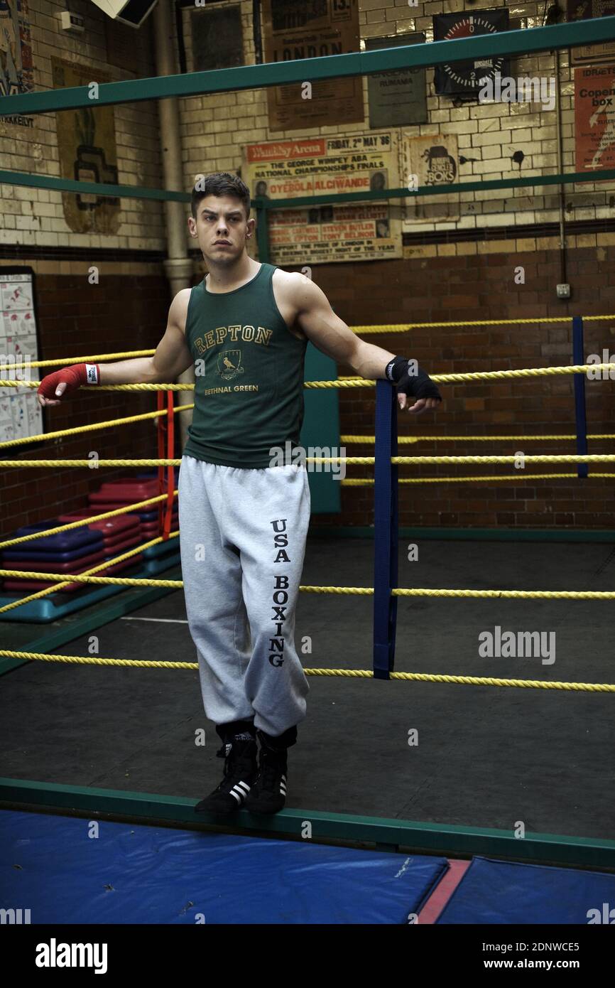 Boxer at rest hi-res stock photography and images - Alamy