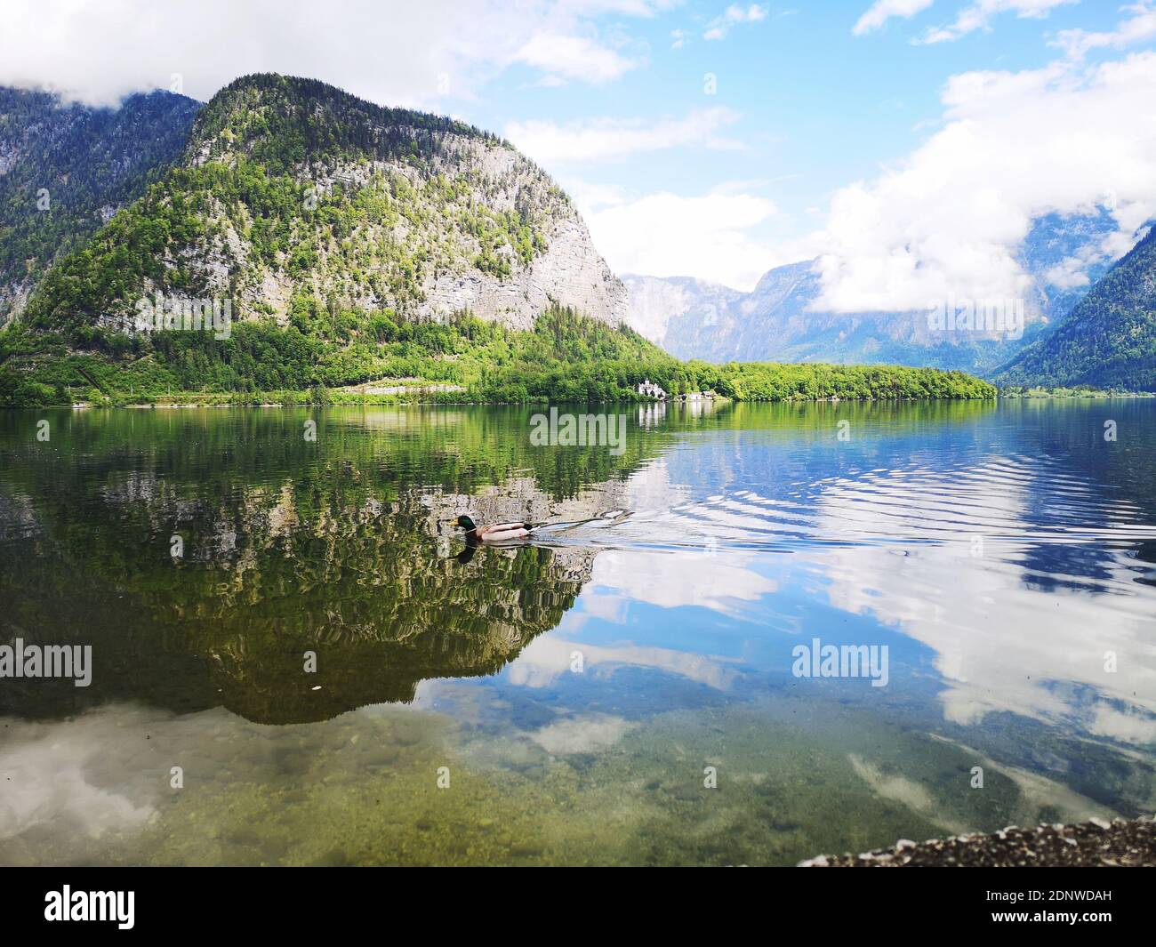 Disturbing peace hi-res stock photography and images - Alamy