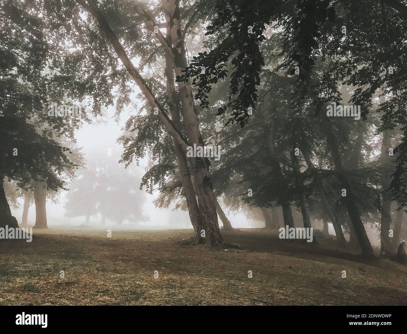 Time slows down hi-res stock photography and images - Alamy