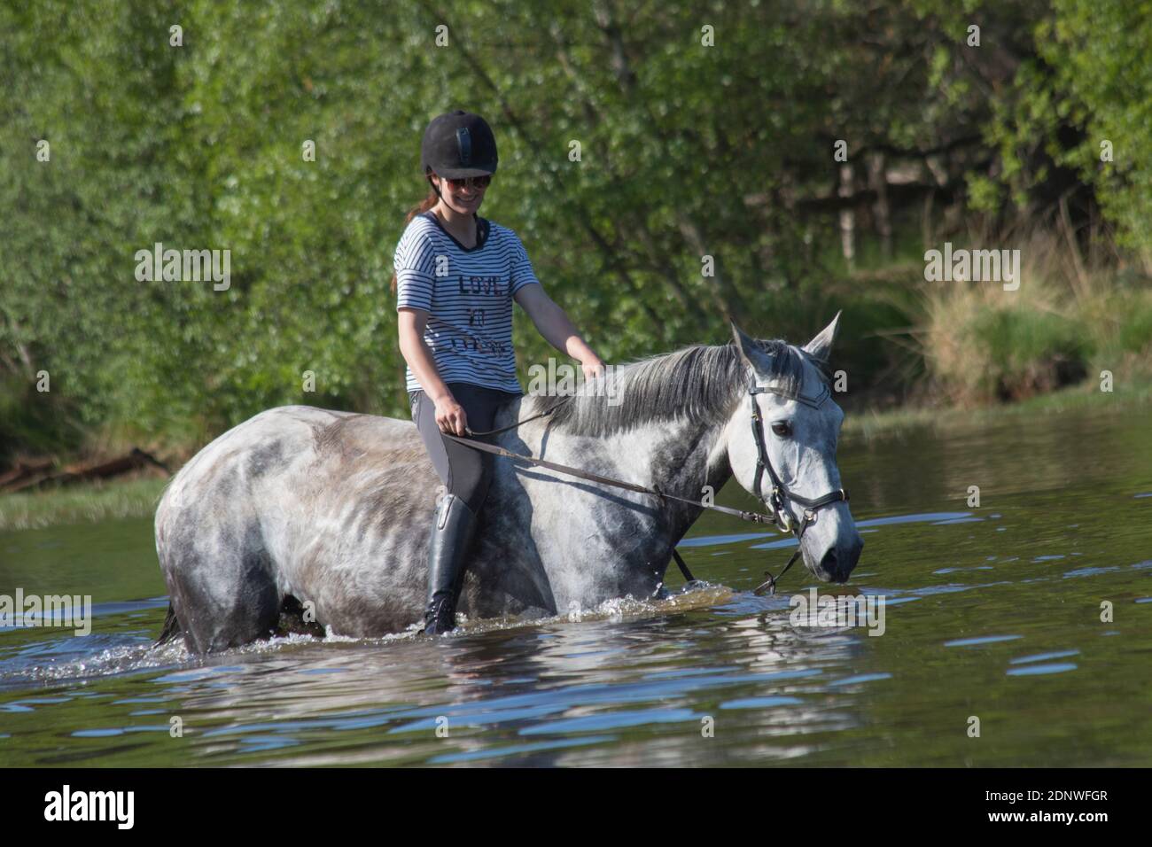 Full Length Of Woman Riding Horse In River Stock Photo - Alamy
