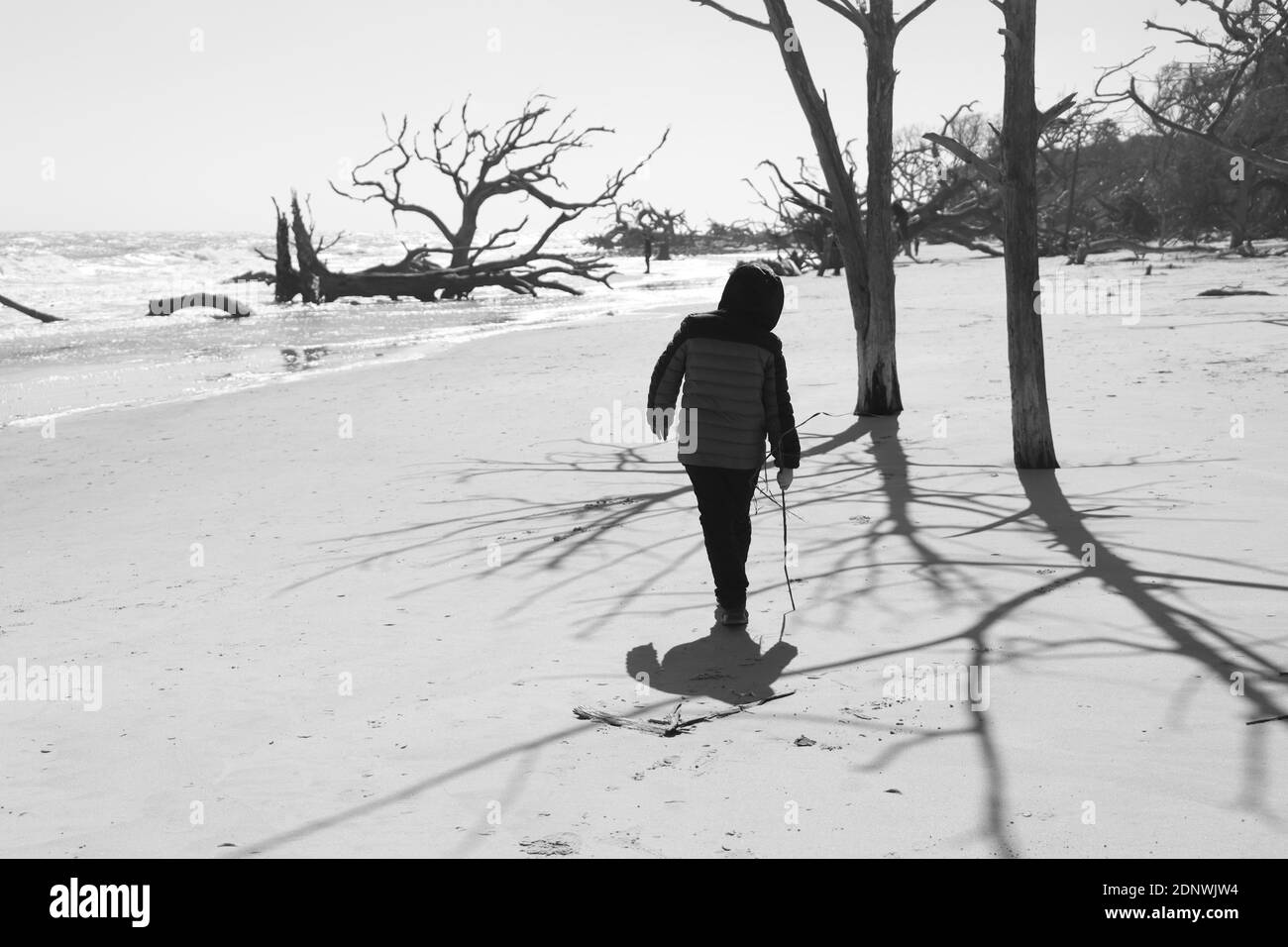 Dragging Stick High Resolution Stock Photography and Images - Alamy