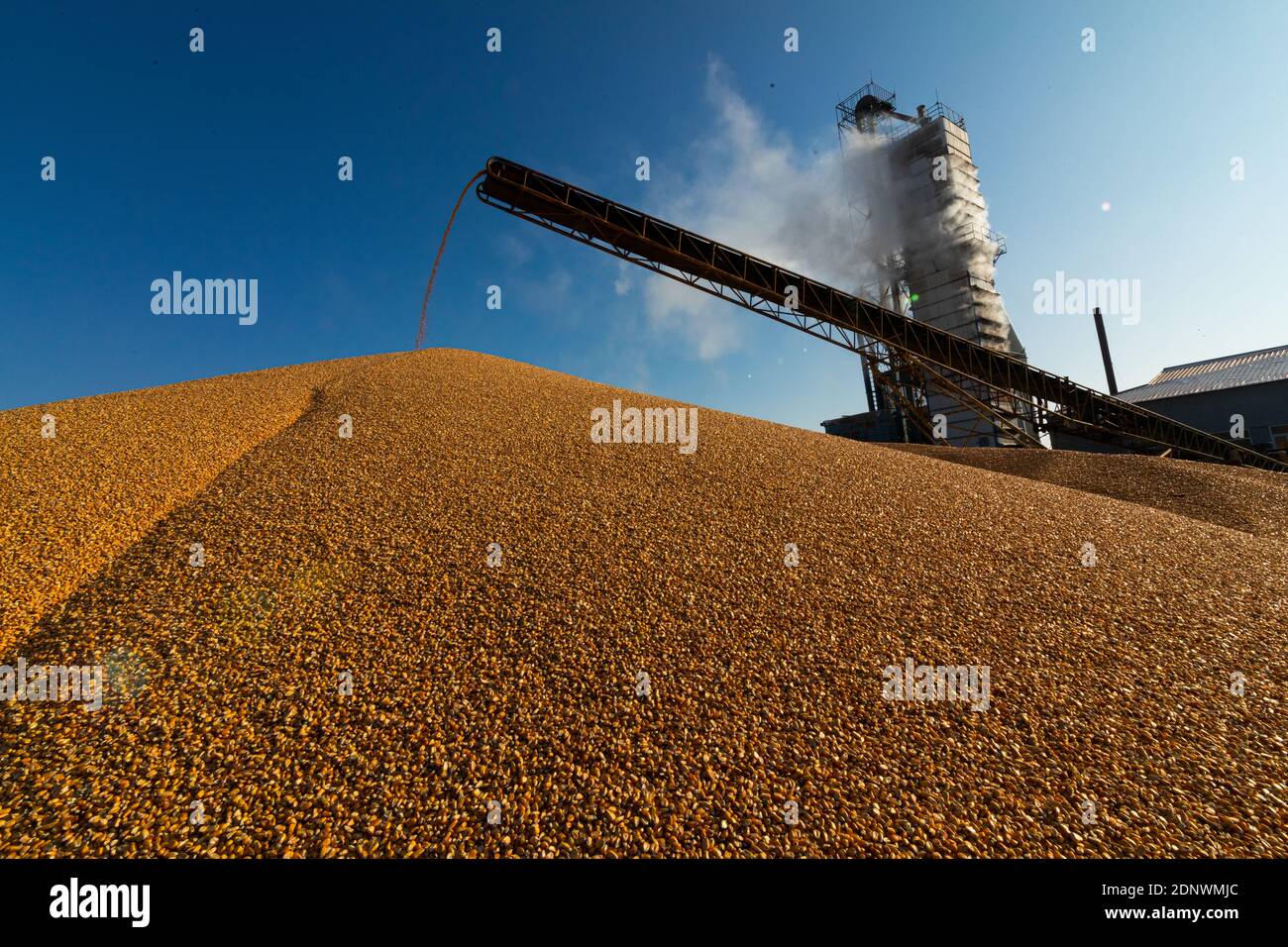 Big corn silos Stock Photo - Alamy