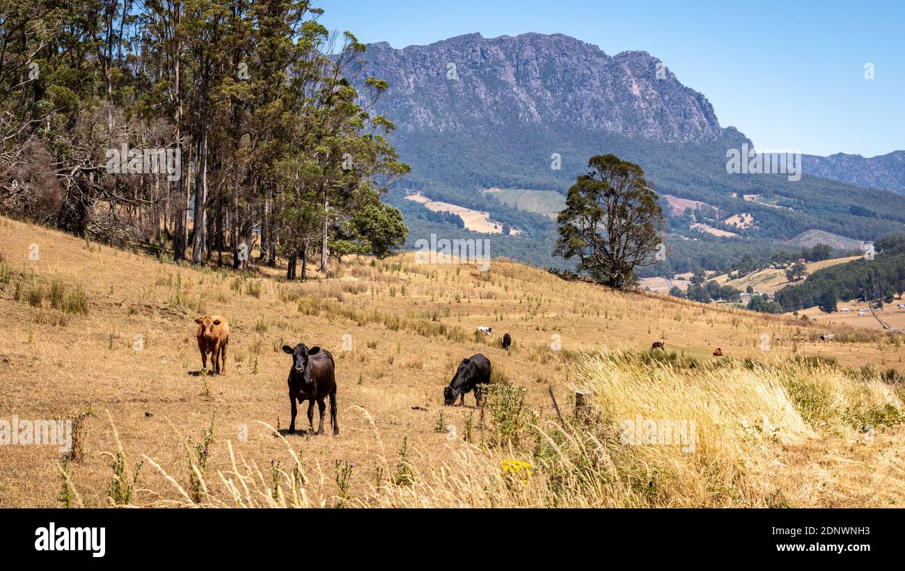 Mount Roland Countryside Panorama Stock Photo - Alamy