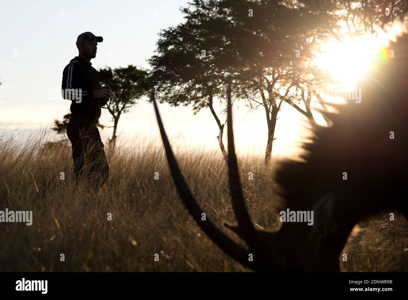 Wildlife photographer forest camera hi-res stock photography and images ...