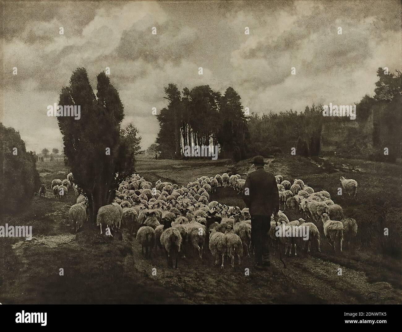 Heather Snook High Resolution Stock Photography and Images - Alamy