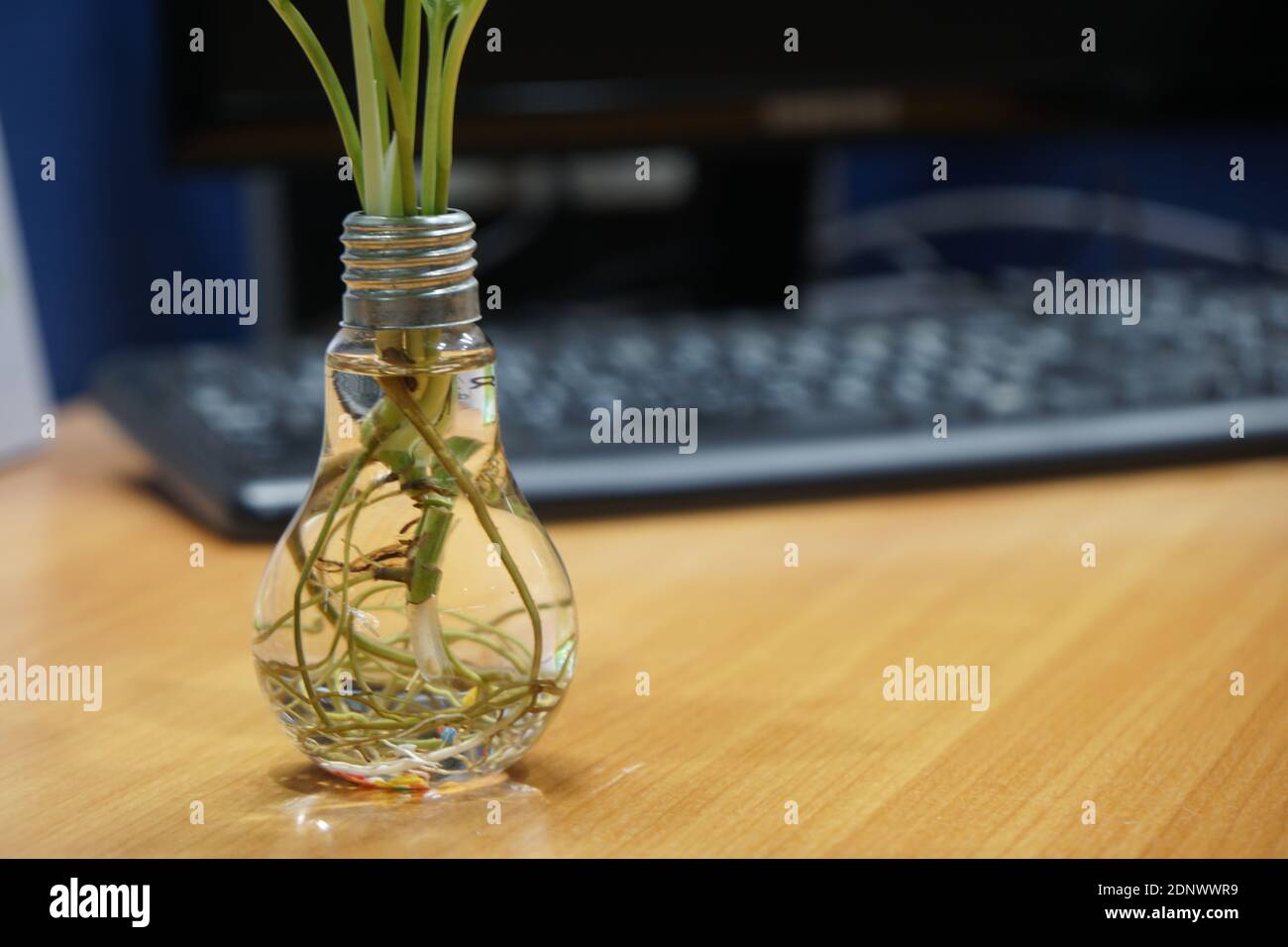 Betel container hi-res stock photography and images - Alamy