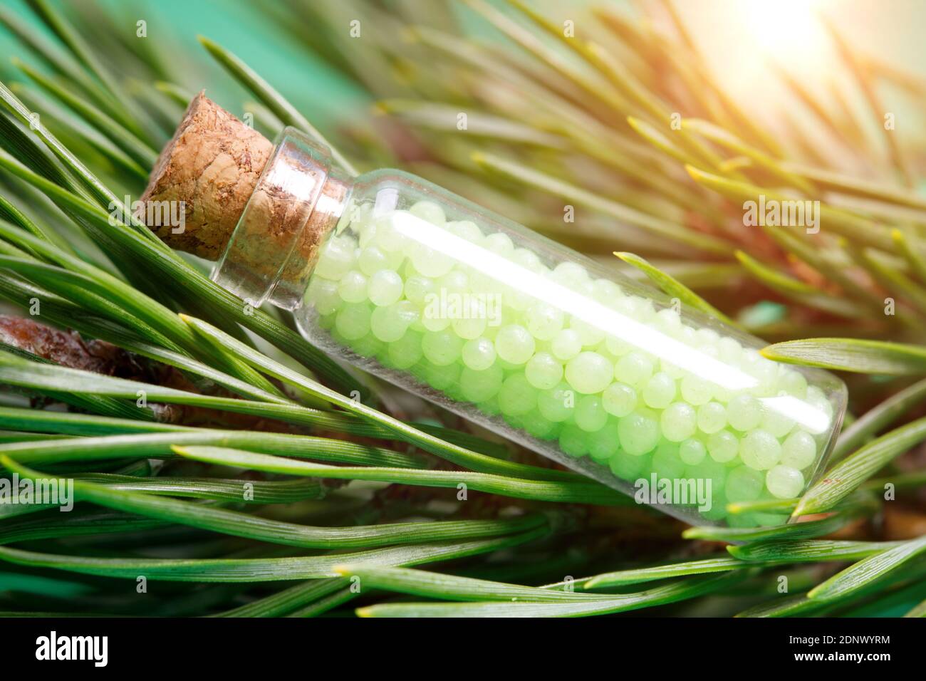 glass bottle with green granules and a pine branch Stock Photo - Alamy
