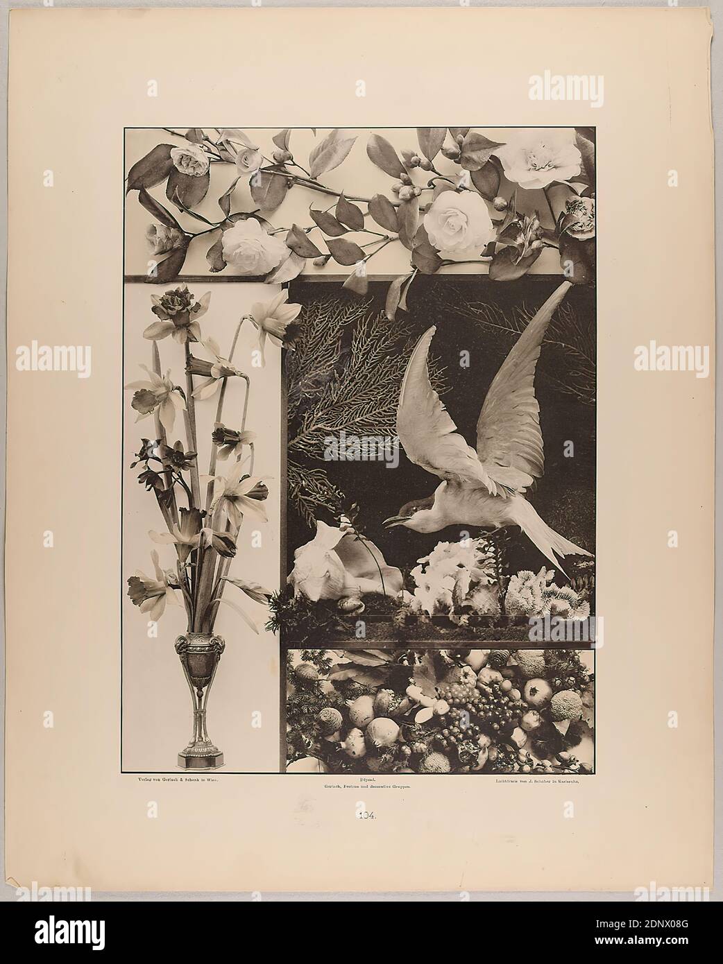 Group shell filling plant hi-res stock photography and images - Alamy