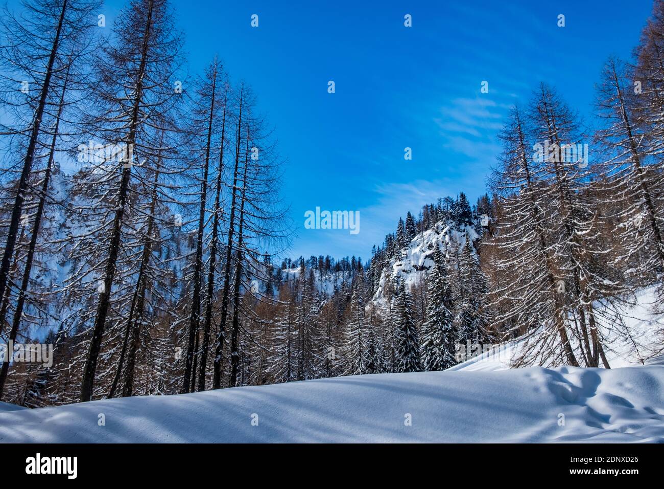 The peaks of Tarvisio in the italian alps Stock Photo - Alamy