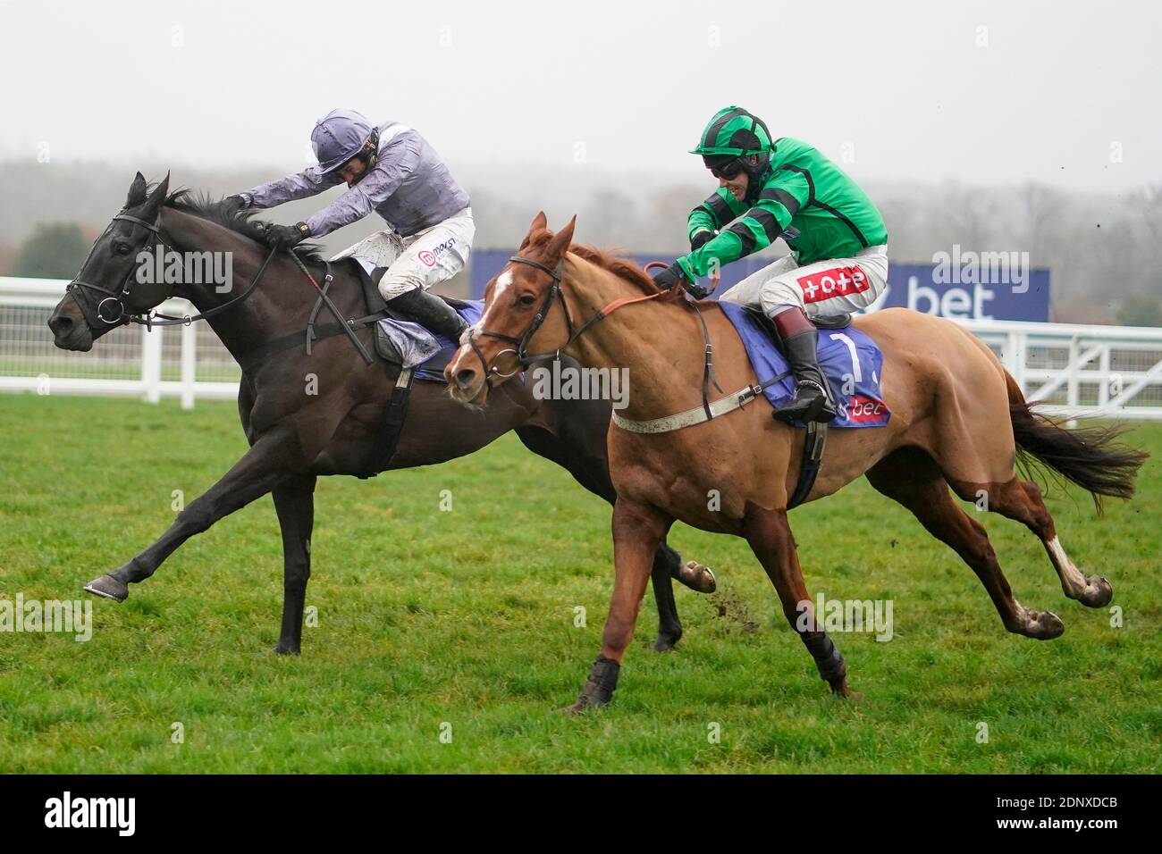 My drogo horse hi-res stock photography and images - Alamy