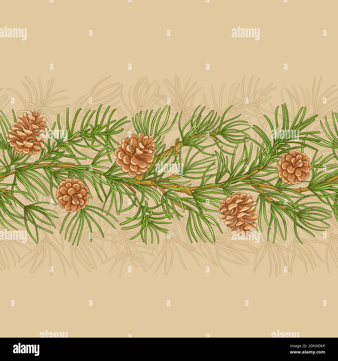 Seamless pattern fir cone Stock Vector Images - Alamy