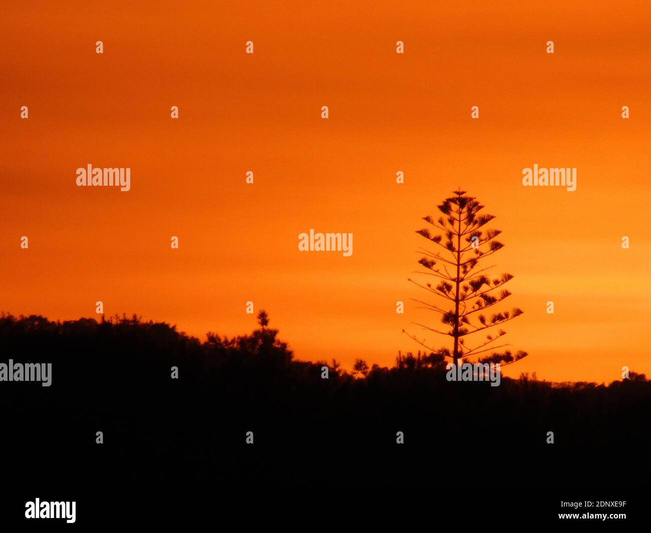 2020 Sunset 2 Stock Photo - Alamy