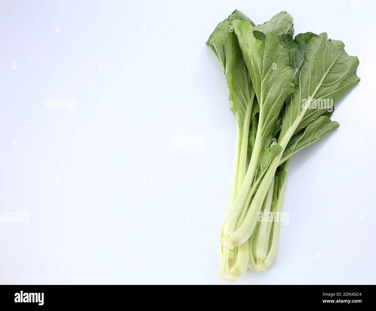 White choy sum hi-res stock photography and images - Alamy