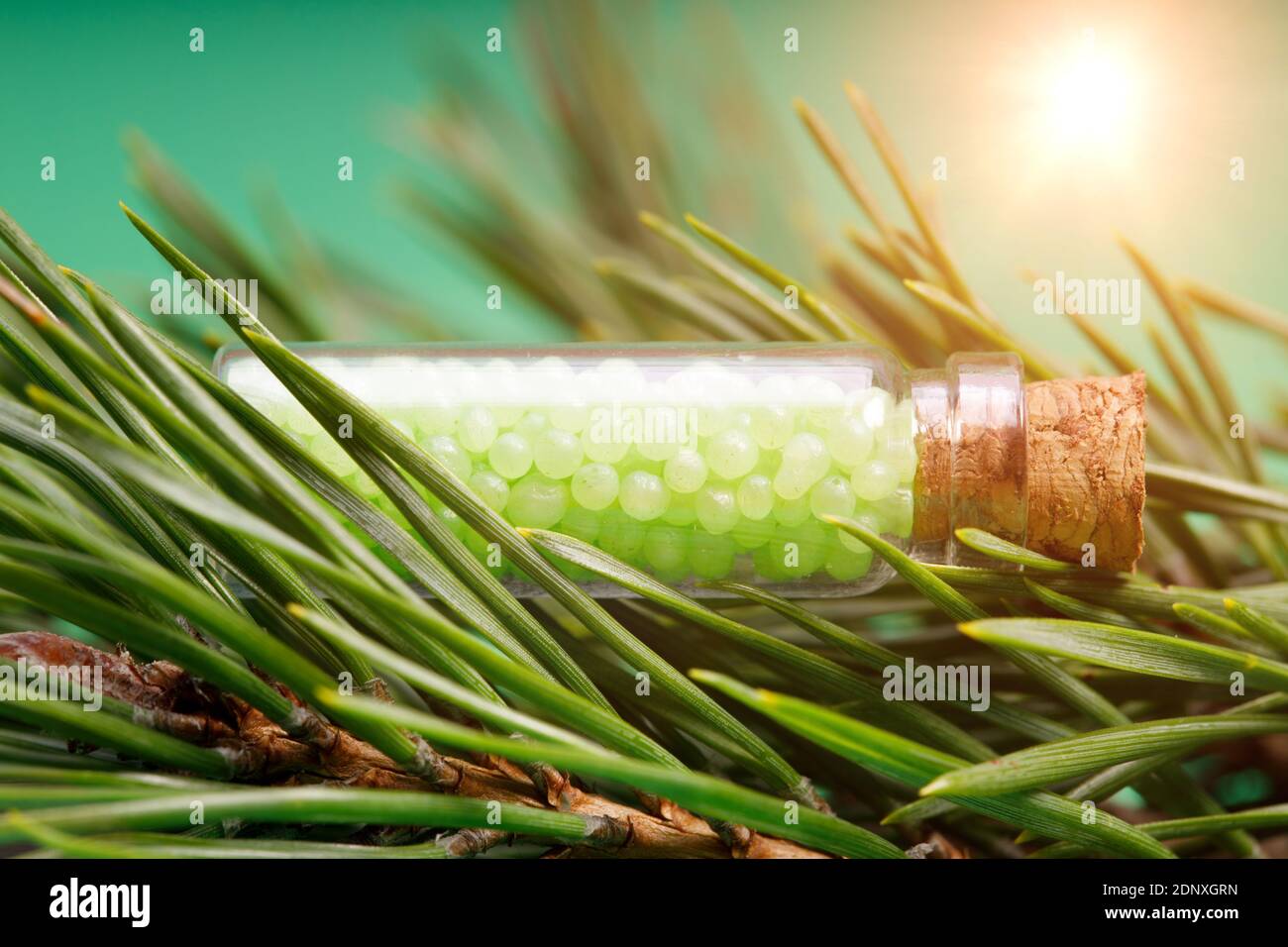 glass bottle with green granules and a pine branch Stock Photo - Alamy