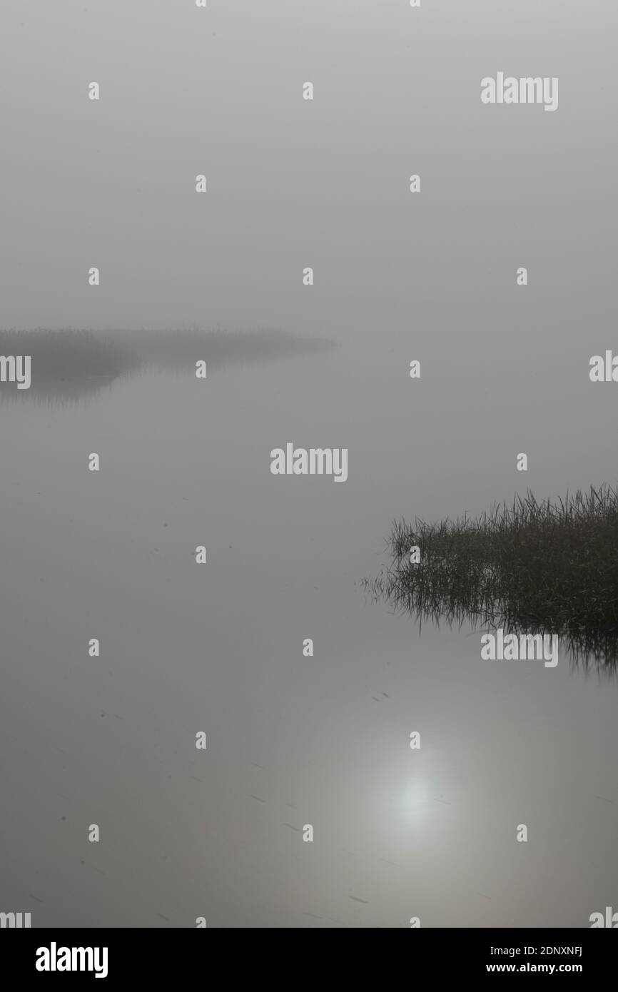 Mist on the river Deben, misty morning at the river, portrait ...