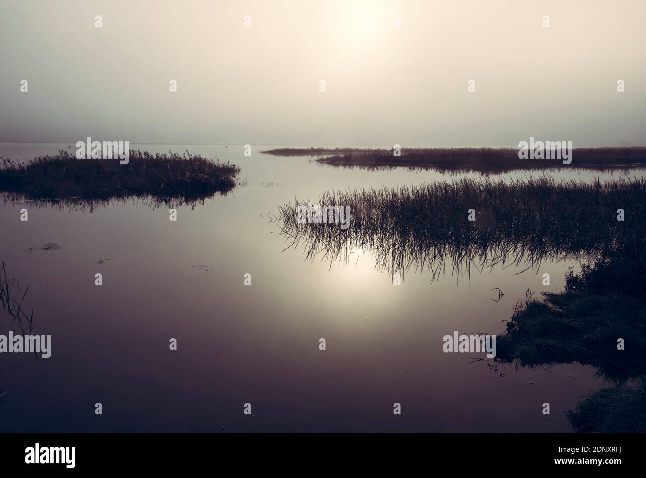 Tinted photograph of mist lifting over river Deben, morning mist at the ...
