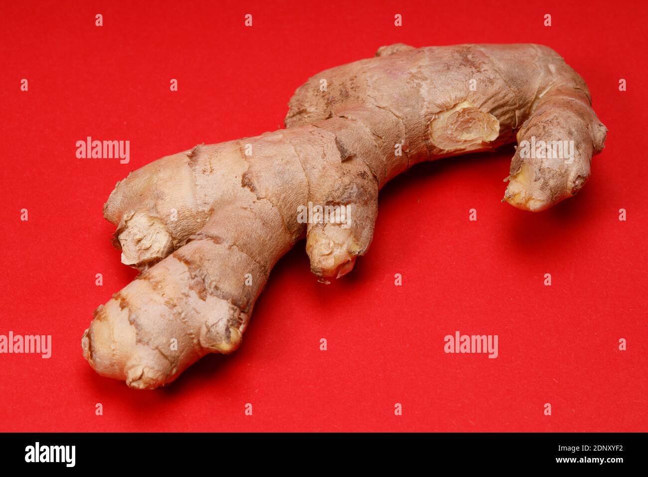 Ginger plant root soil hi-res stock photography and images - Alamy
