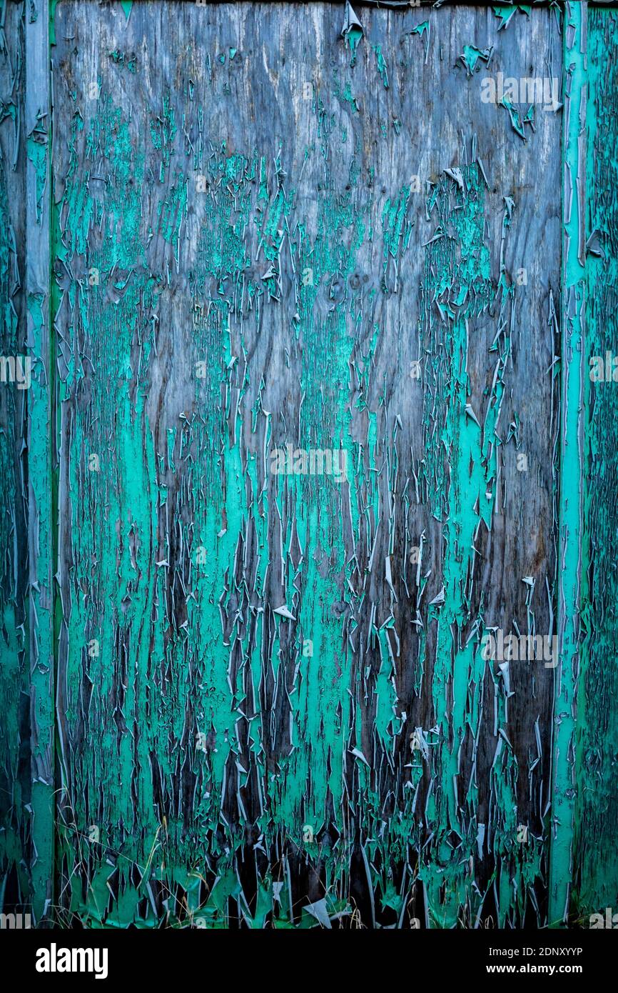Green peeling paint hi-res stock photography and images - Alamy