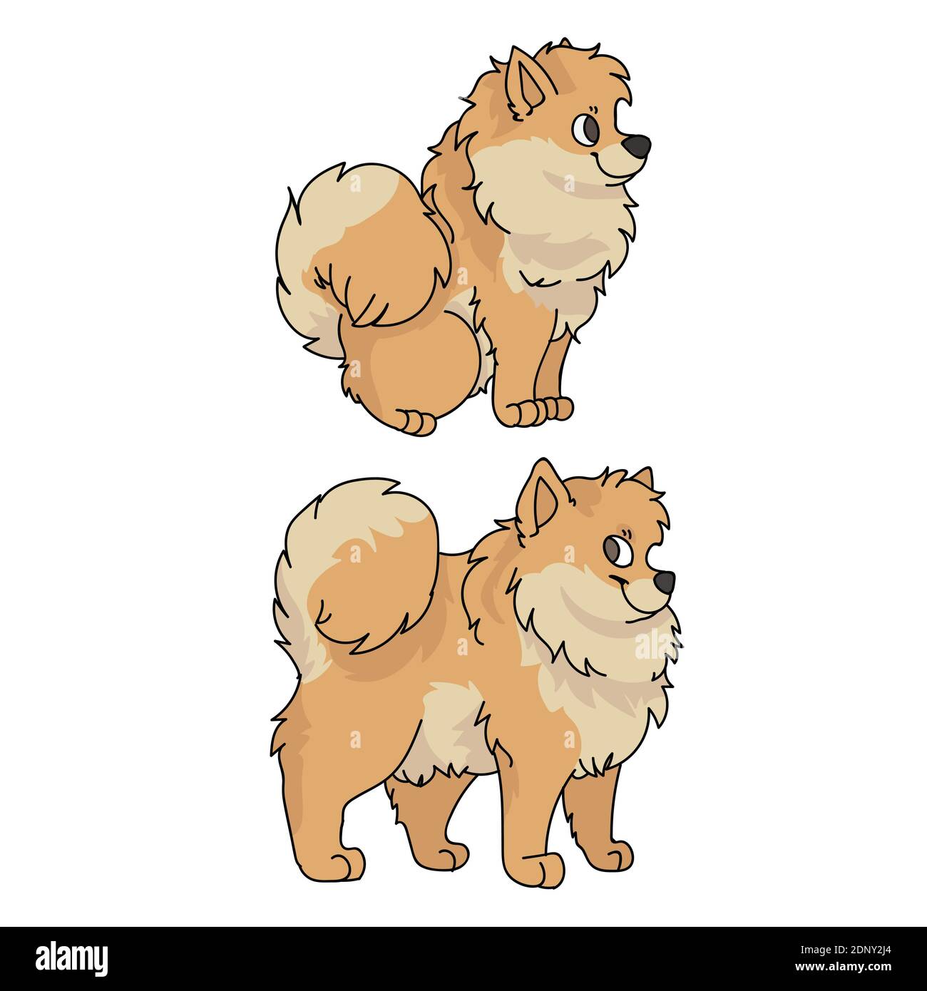 Spitz Dog Cartoon Illustration High Resolution Stock Photography and ...