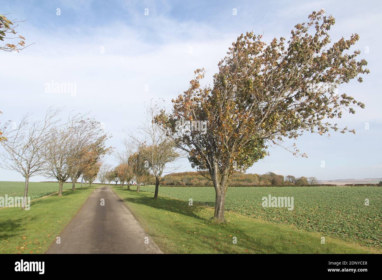 Just outside Huggate, Yorkshire Wolds Stock Photo - Alamy