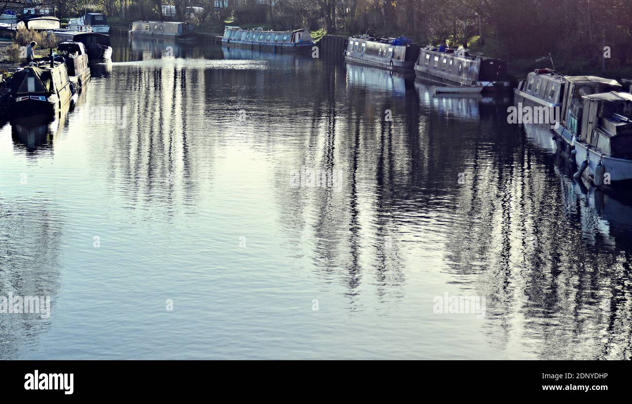 Canal boats in River Lee Stock Photo - Alamy