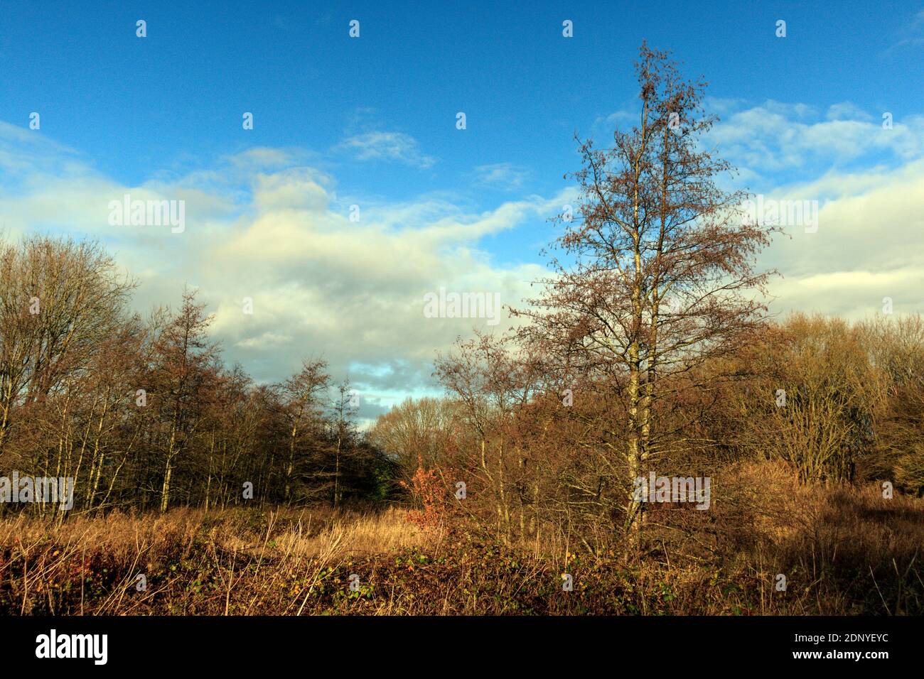 Huncoat hi-res stock photography and images - Alamy