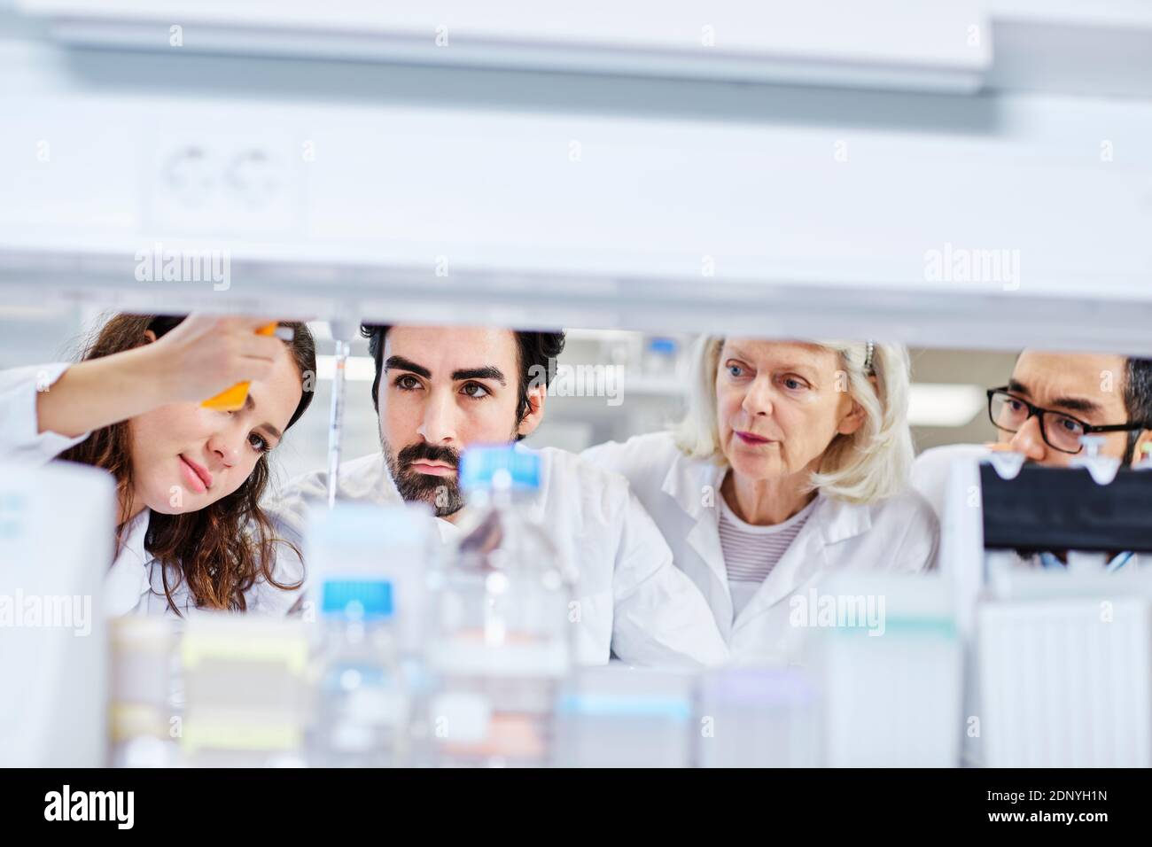 People working in laboratory Stock Photo - Alamy