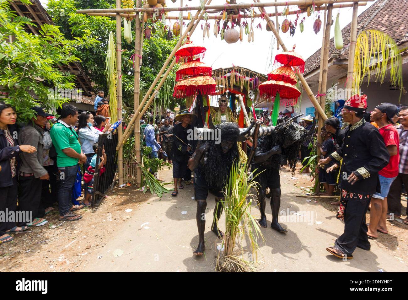 Kebo-keboan is a traditional ceremony in Alasmalang village, Banyuwangi ...