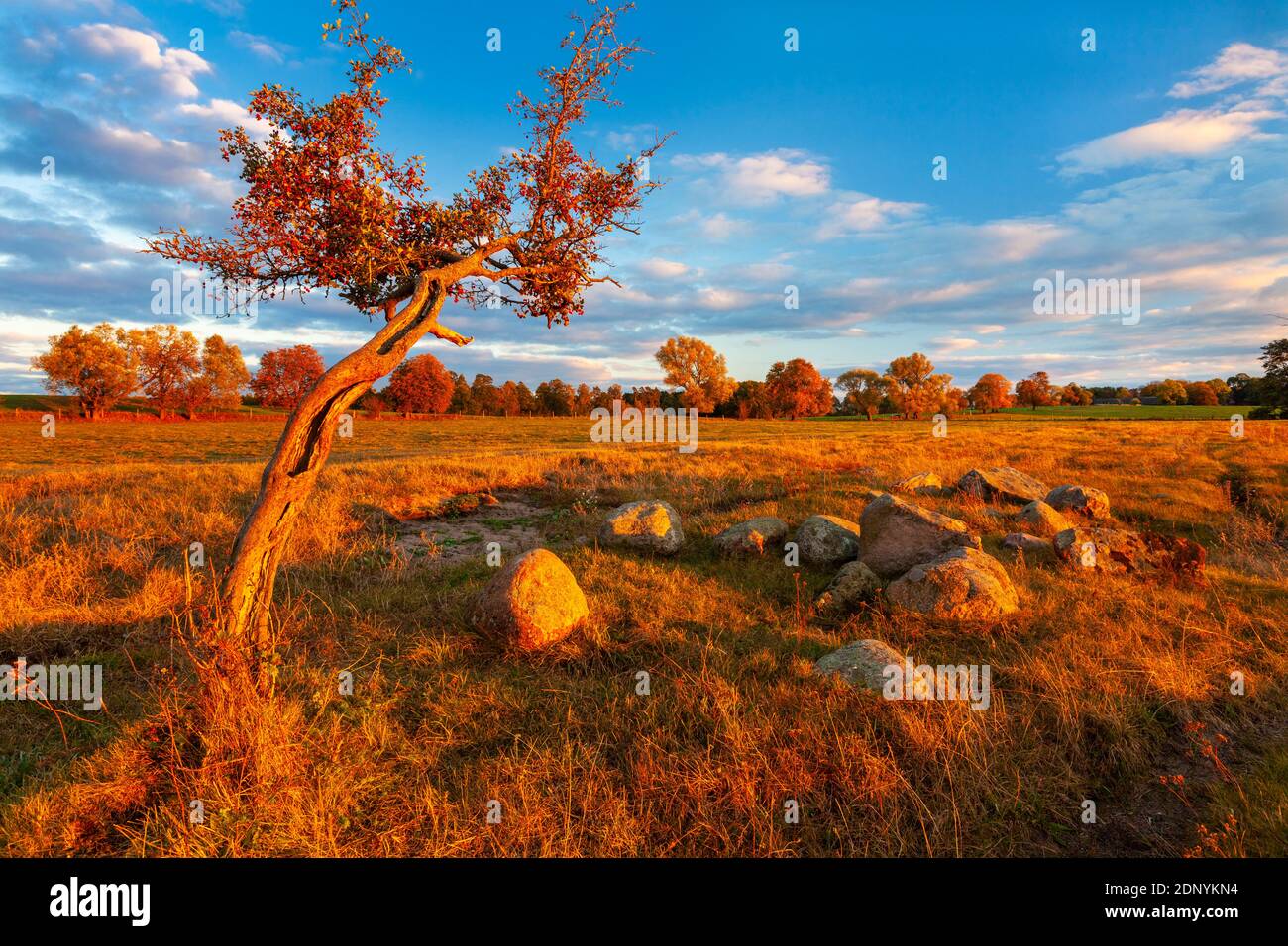 Suwalki region hi-res stock photography and images - Alamy