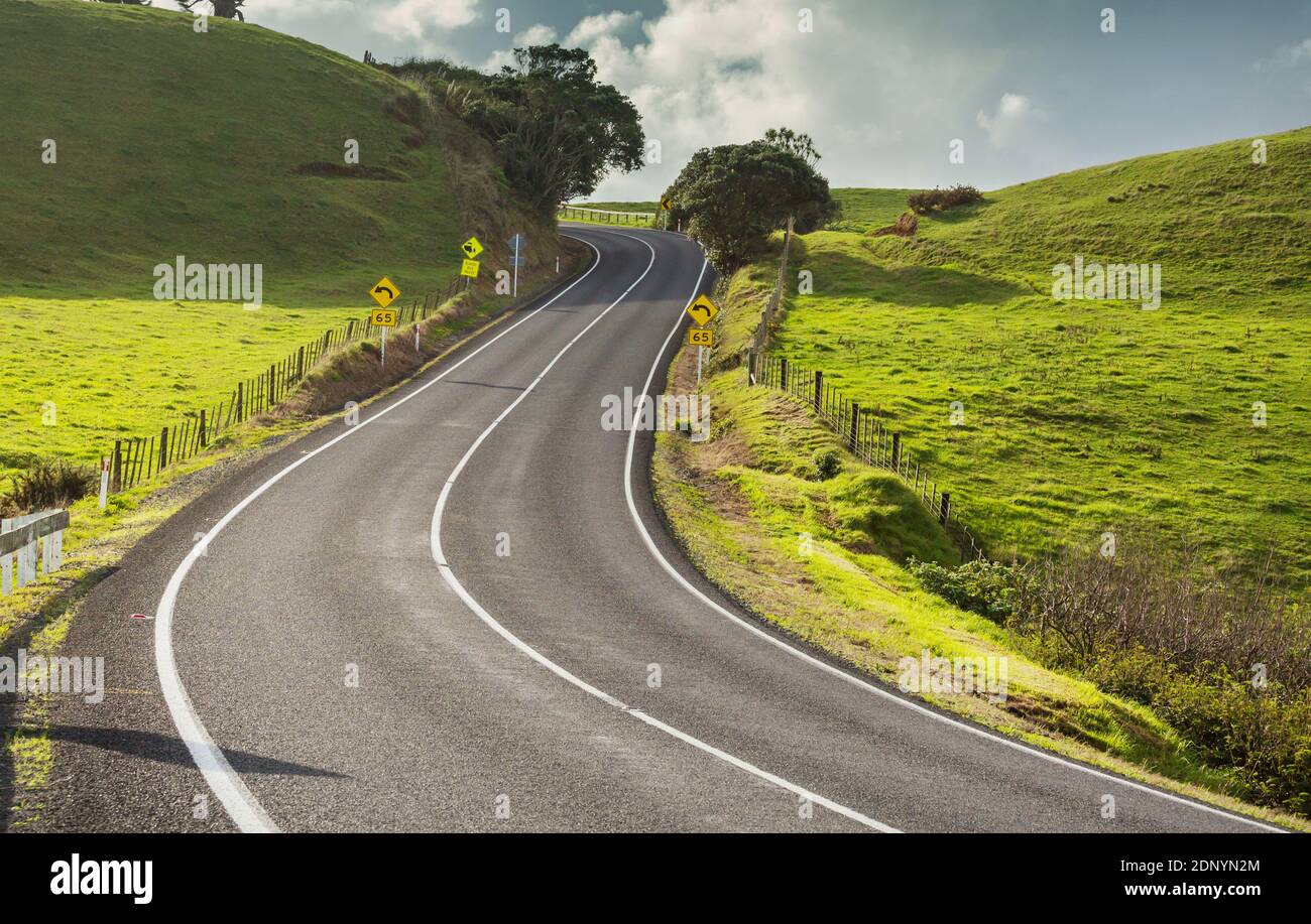 Scenic Road among green hills in New Zealand Stock Photo - Alamy