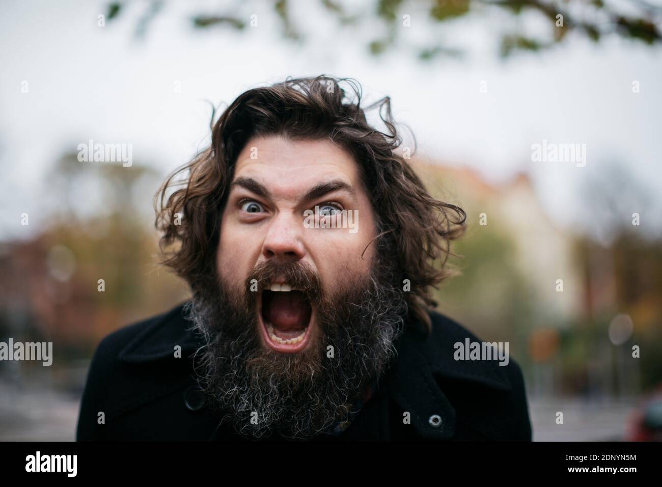 Bearded faces hi-res stock photography and images - Alamy