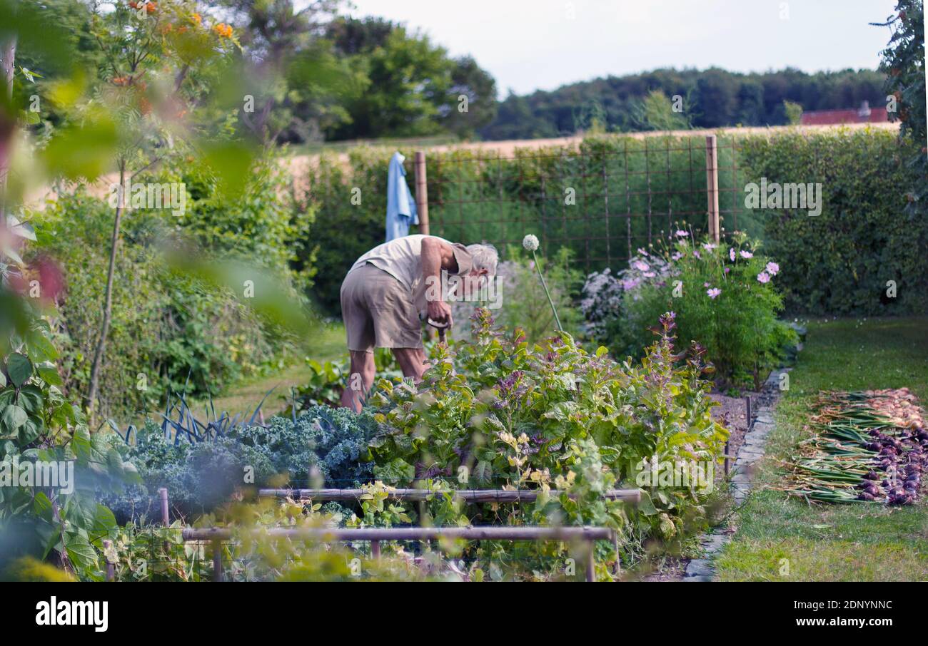 Very old man gardening hi-res stock photography and images - Alamy
