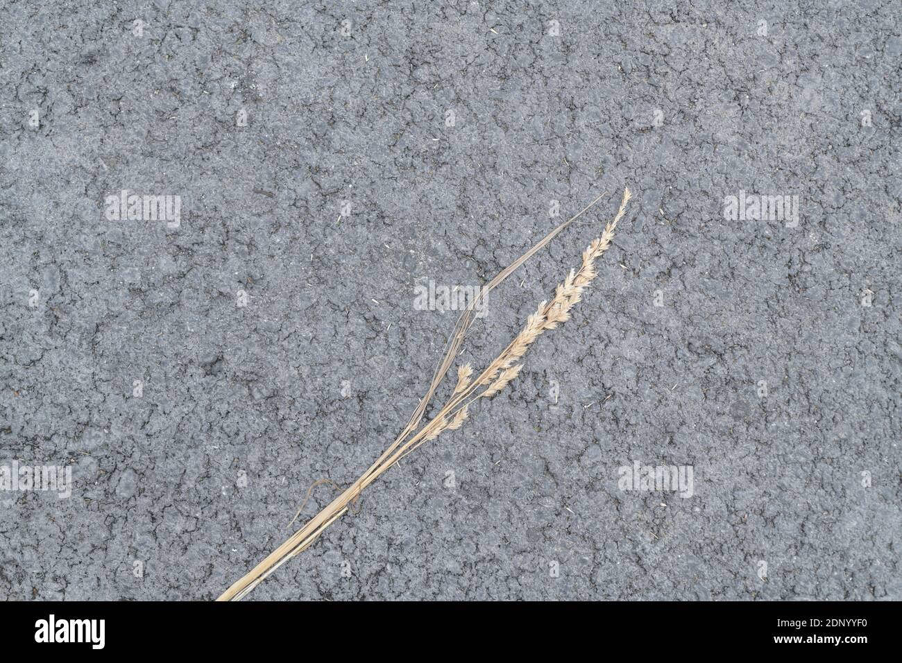 Tarmac texture hi-res stock photography and images - Alamy