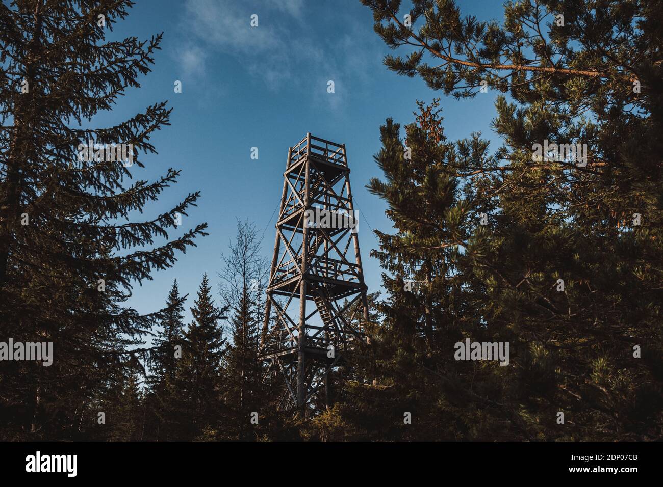 Tower in forest hi-res stock photography and images - Alamy