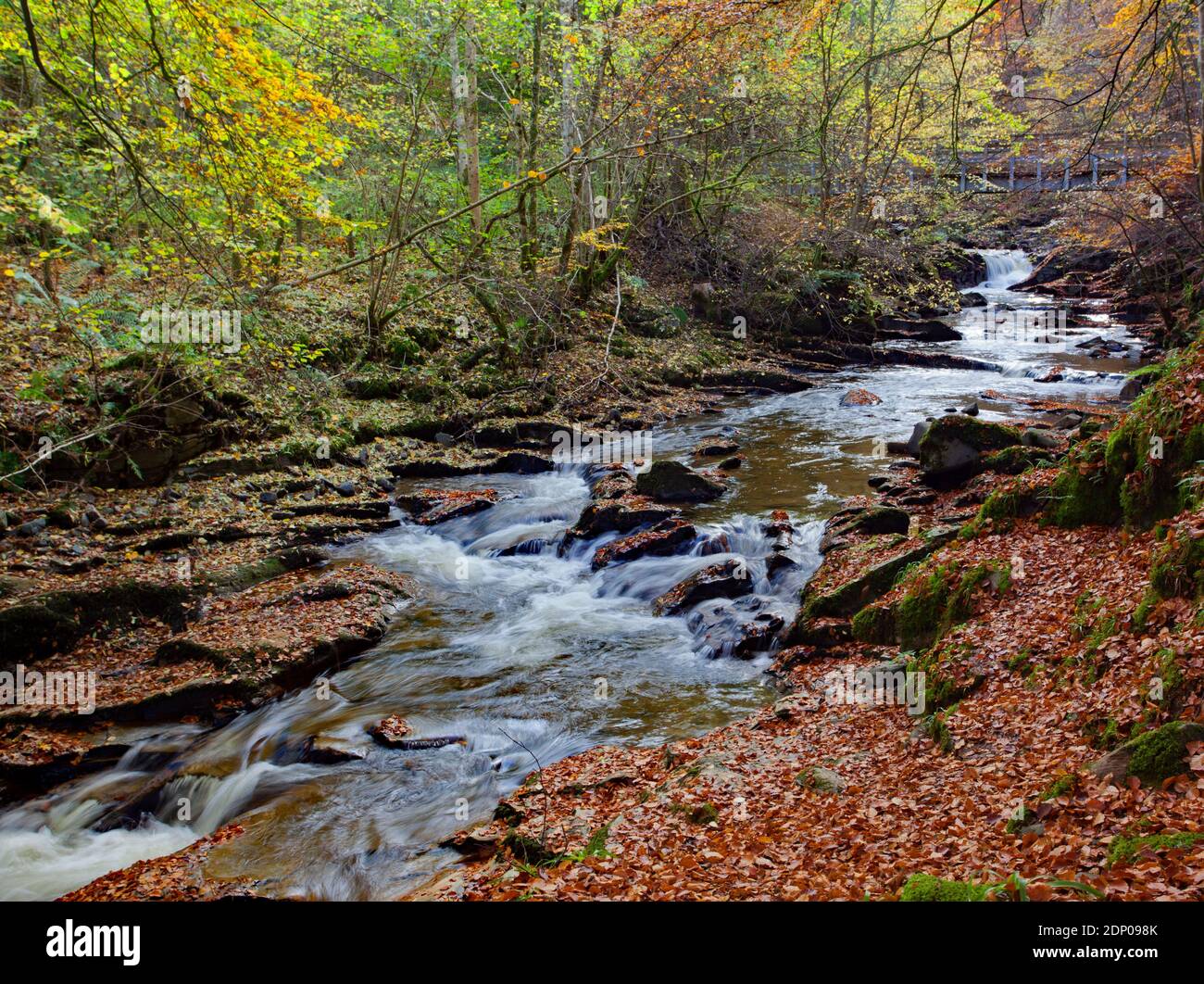 The Birks of Aberfeldy, Perthshire, Scotland Stock Photo - Alamy