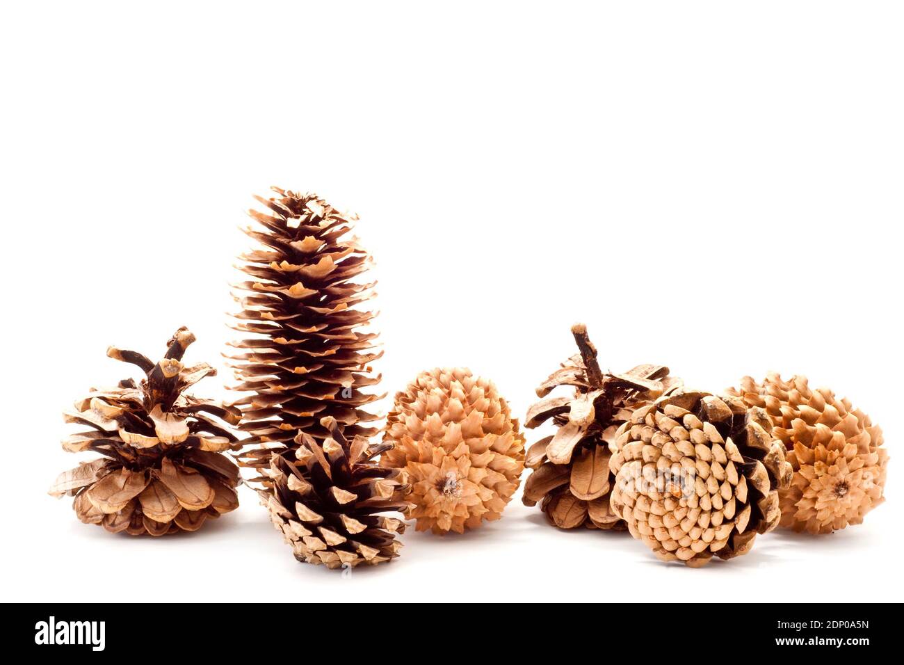 cones isolated on a white background Stock Photo - Alamy