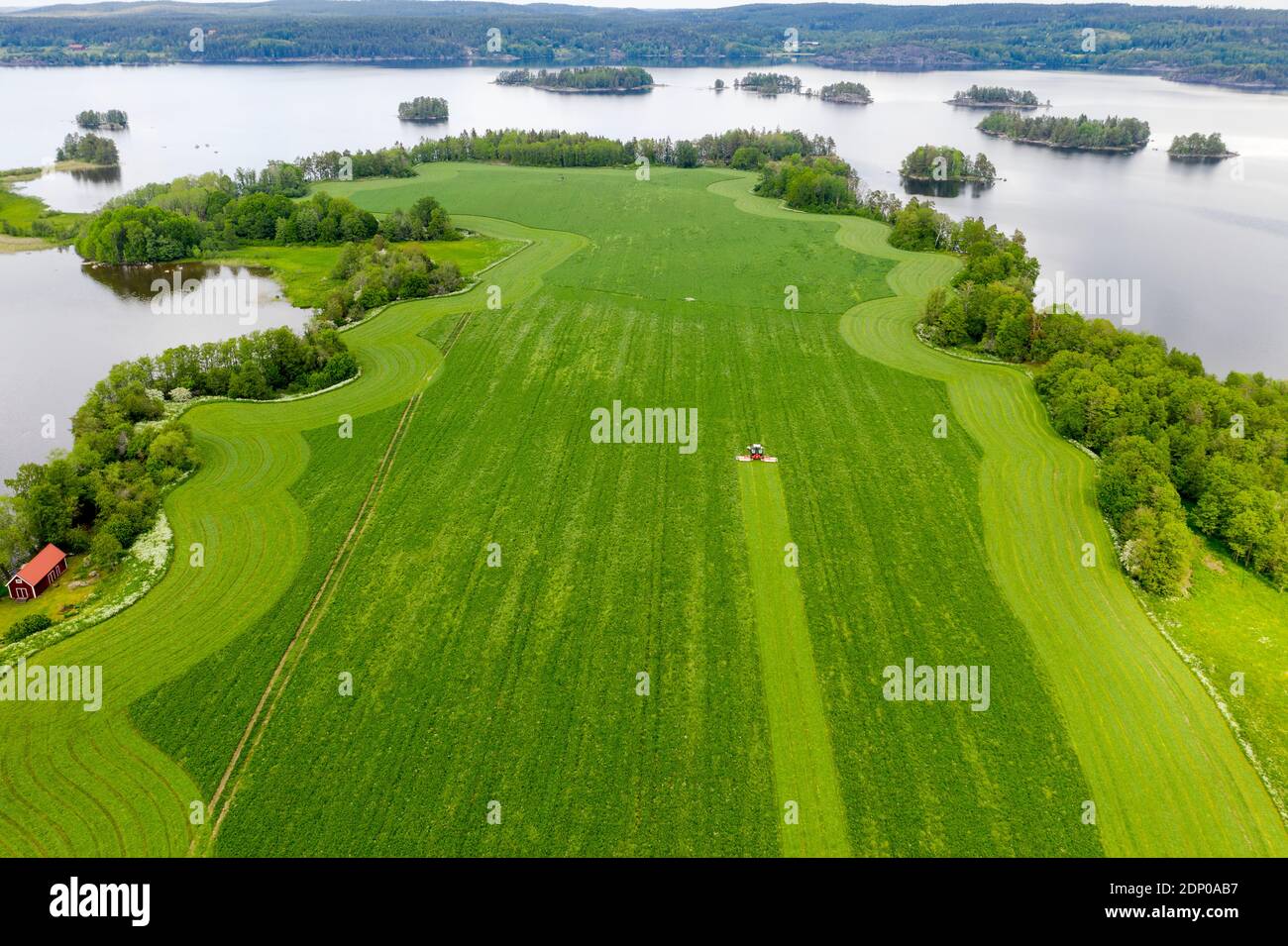 Field at lake Stock Photo - Alamy