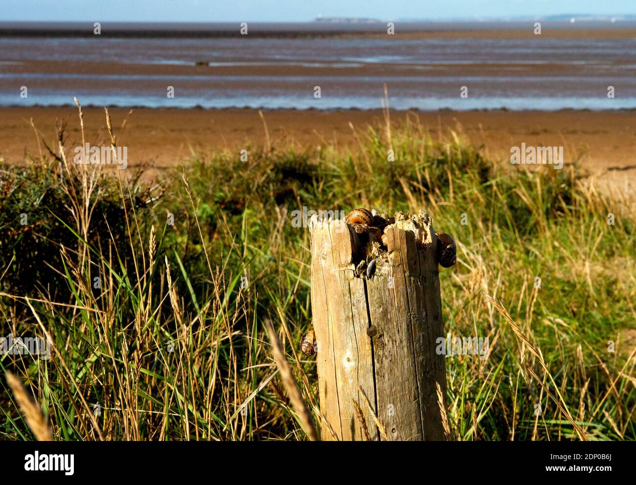 Sand Bay - Bristol Channel Stock Photo - Alamy