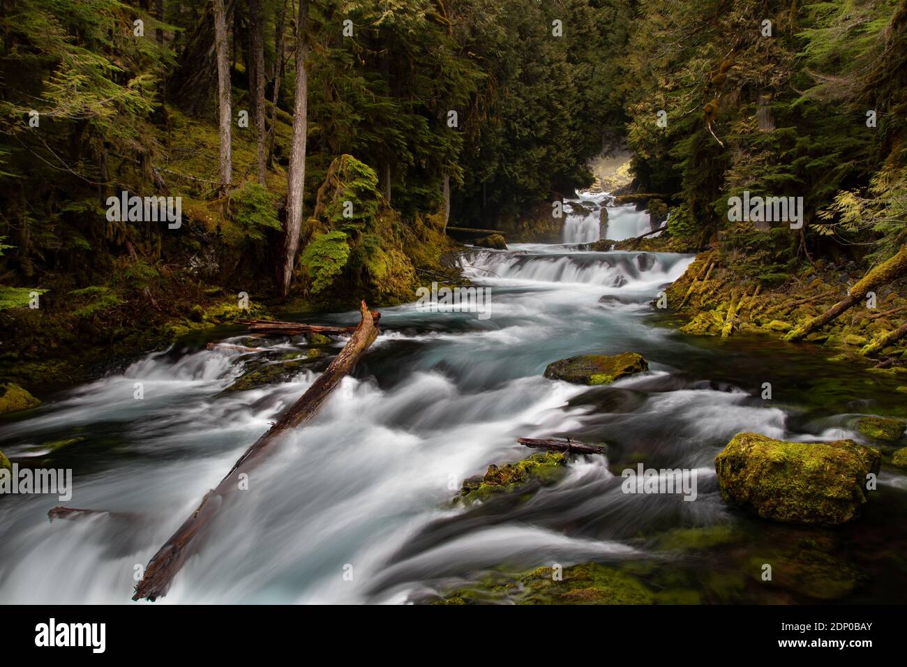 Outdoors mckenzie river hi-res stock photography and images - Alamy