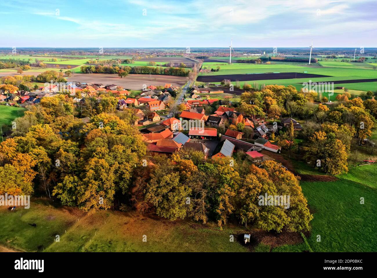 Aerial view of a small village in Germany with trees at the edge of the ...