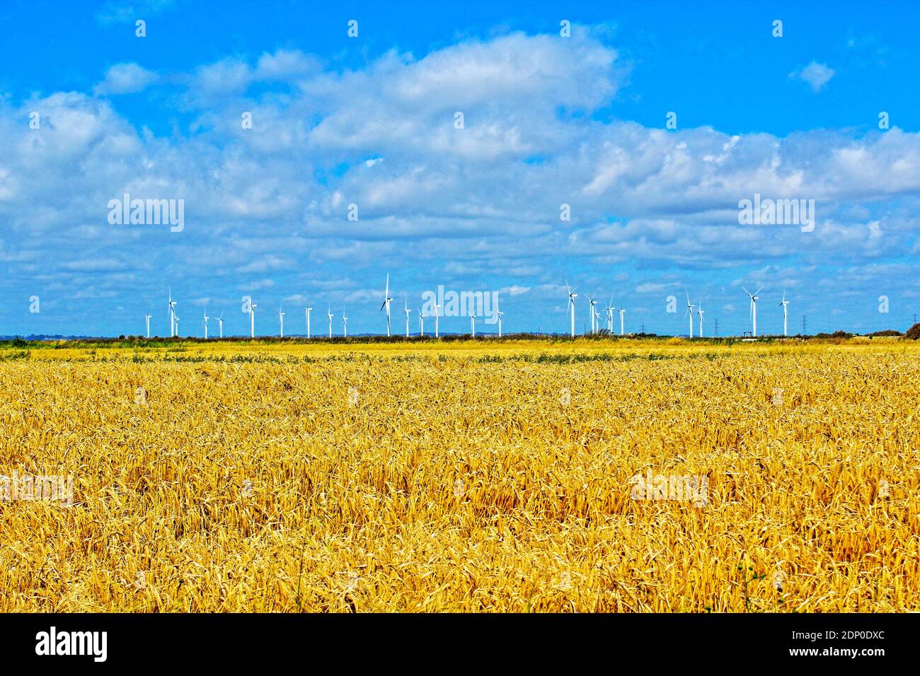 Expansive Plain High Resolution Stock Photography and Images - Alamy