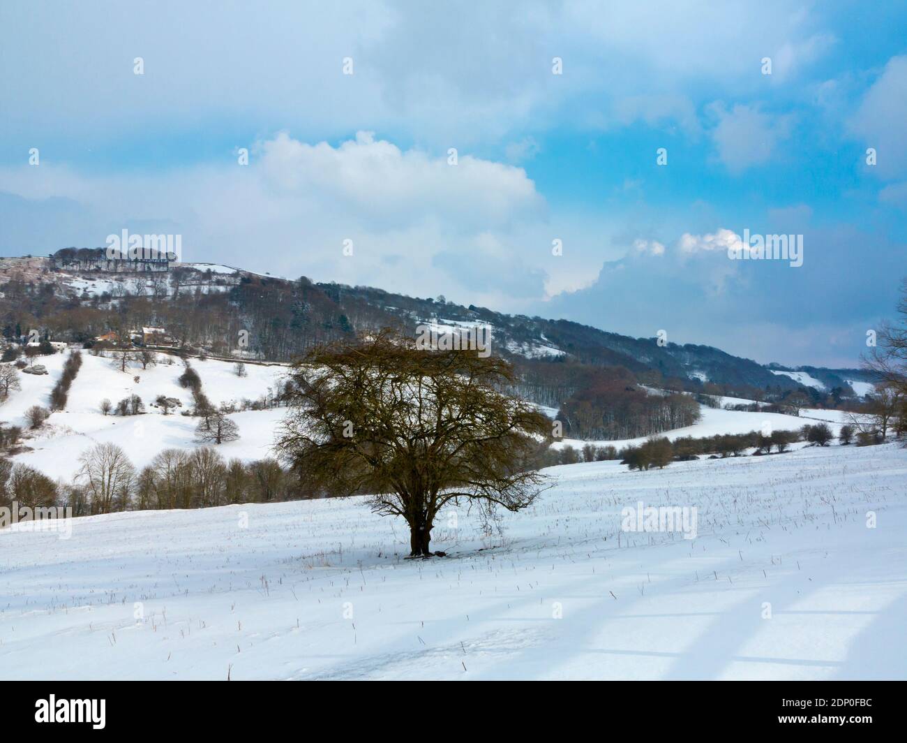 Snow covered landscape with trees at Starkholmes near Matlock Bath in ...