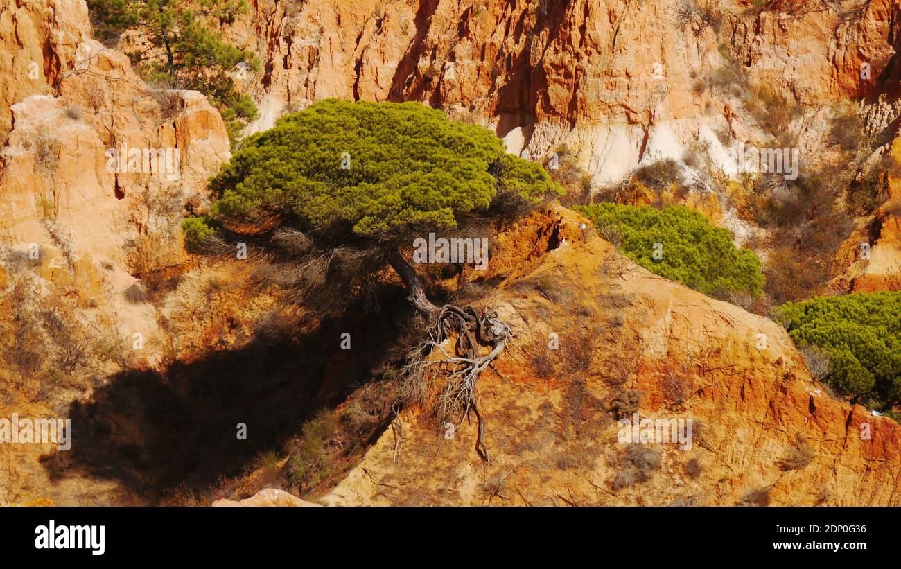 Extreme environment hi-res stock photography and images - Alamy