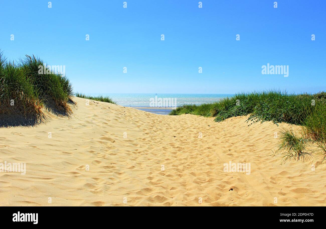 Camber Sands beach dunes at nice summer day seen from the dunes above ...