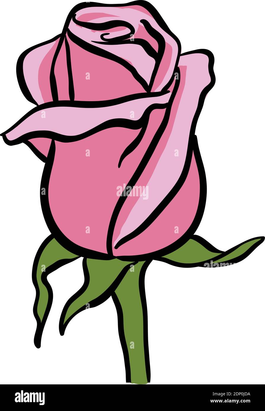 Rose Bud vector image Stock Vector Image & Art - Alamy