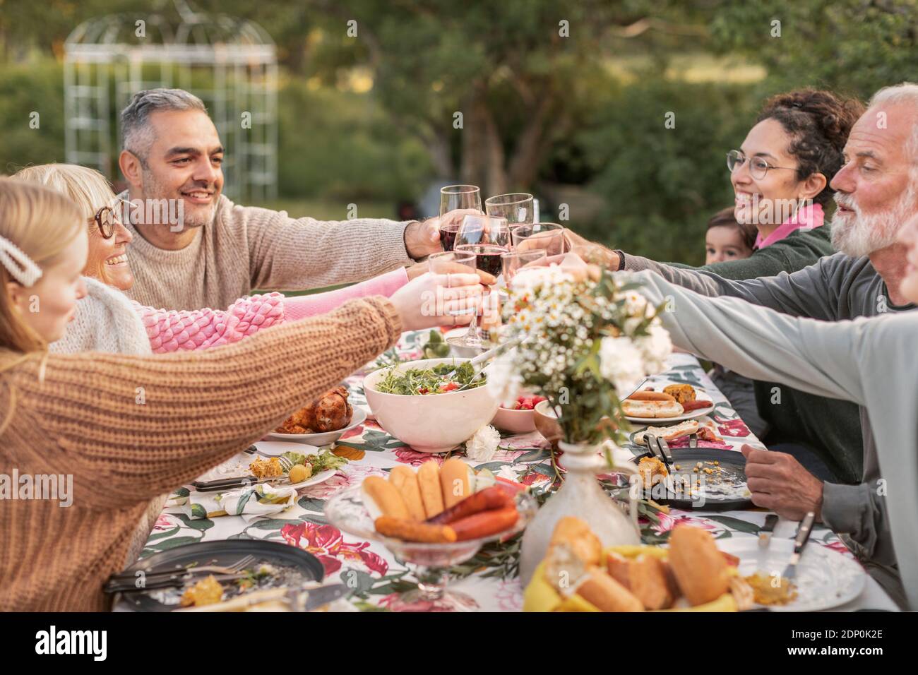 Family toasting during meal in garden Stock Photo - Alamy