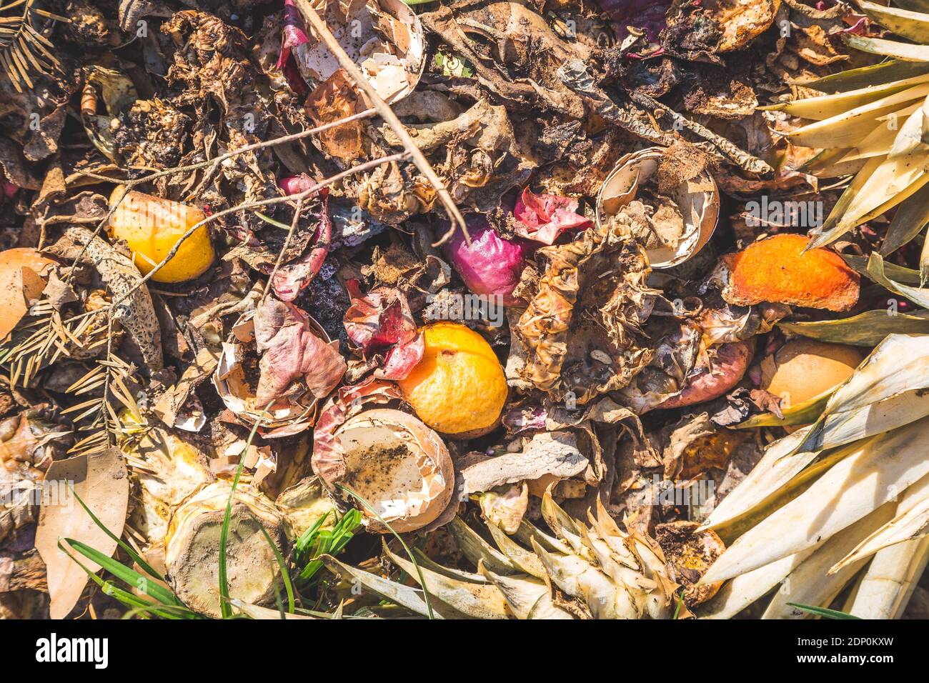 Composting pile rotting kitchen fruits hi-res stock photography and ...
