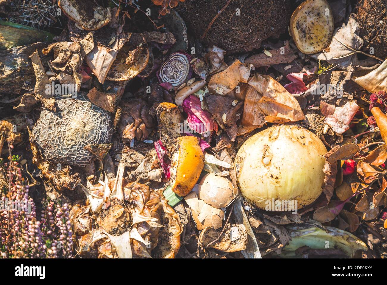 Composting pile of vegetable fruits. Organic waste, closeup Stock Photo ...