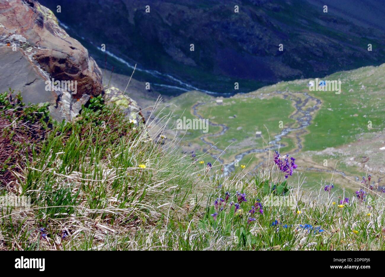 Magnificent Natural Valley and Stream Stock Photo - Alamy