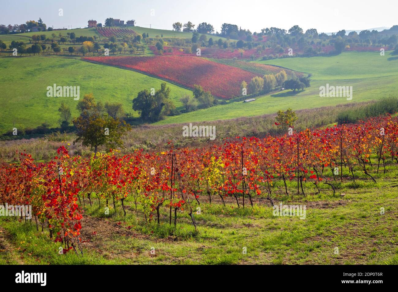 Castelvetro Di Modena High Resolution Stock Photography and Images - Alamy